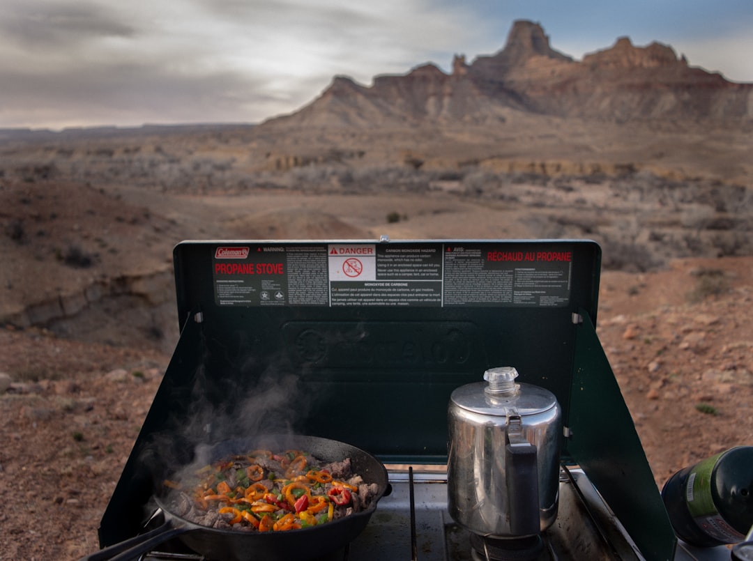 Camping Essentials: Comparing the Durability of Uniflame and Coleman ...