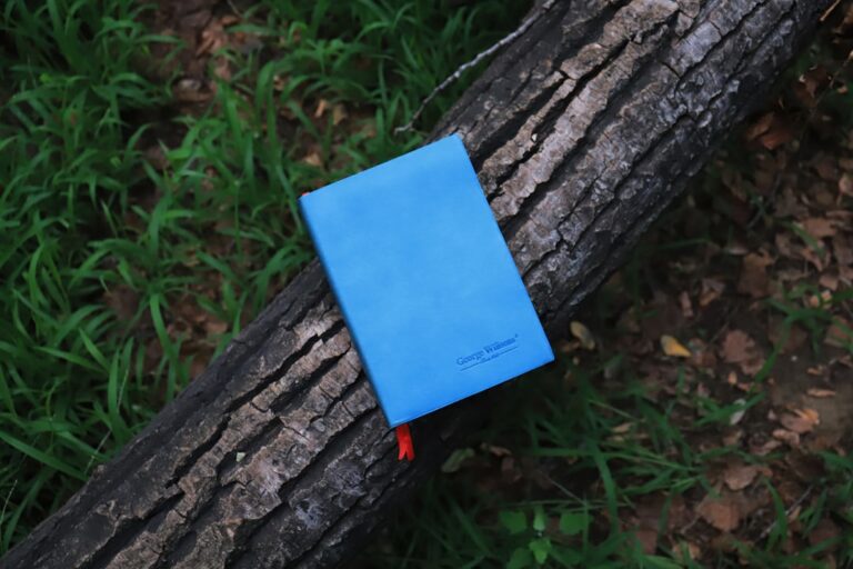 The Ultimate Guide to Japanese Notebooks: From Midori to Traveler's ...